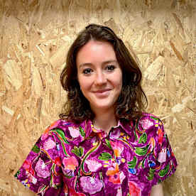 Camille GAILLARD, Masseur-kinésithérapeute à Saint-Apollinaire - Doctolib