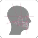 Chirurgien maxillo-facial Trélazé : Prenez rendez-vous en ligne | Doctolib