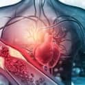 Holter ECG Vendée 85 : Prenez rendez-vous en ligne | Doctolib