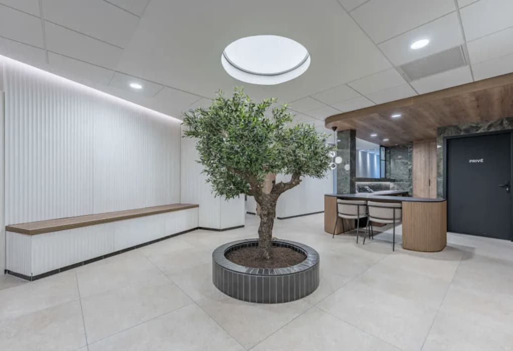 Dr Antoine Chaillet, Psychiatre à Caluire-et-Cuire - Doctolib