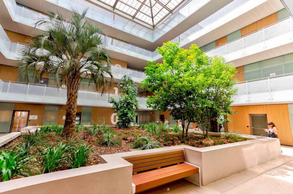 Dr Mohamed AKKARI, ORL à Saint-Jean-de-Védas : Prenez RDV en ligne ...