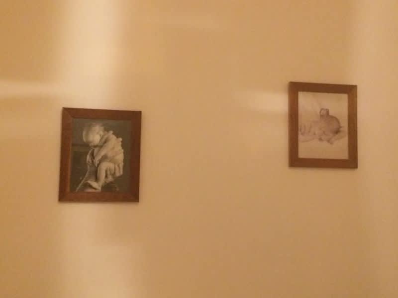 Dr Michael Dahan, Gynécologue obstétricien à Paris, Ézy-sur-Eure - Doctolib