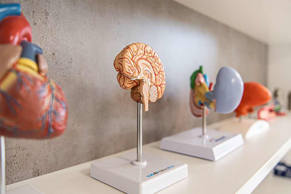 TEAMPRAXIS WEIDENBERG - Cathrin Roider + Dr. Cornelia Angerer Daum ...