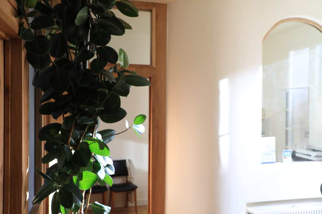 Dr Axelle Thiery, ORL à Reims : Prenez rendez-vous en ligne - Doctolib