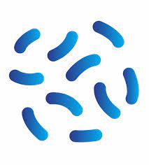 BIOLAM Laboratoire de Thiant, Laboratoire à Thiant - Doctolib