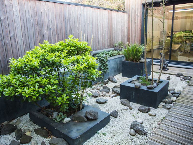 Cabinet Sainte-Cécile - Docteurs Vandaele, Vandromme, Mollet, Cabinet ...