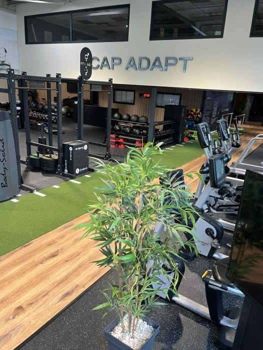 Cap'Adapt, Cabinet de kinésithérapie à Beaucouzé : Prenez RDV en ligne - Doctolib