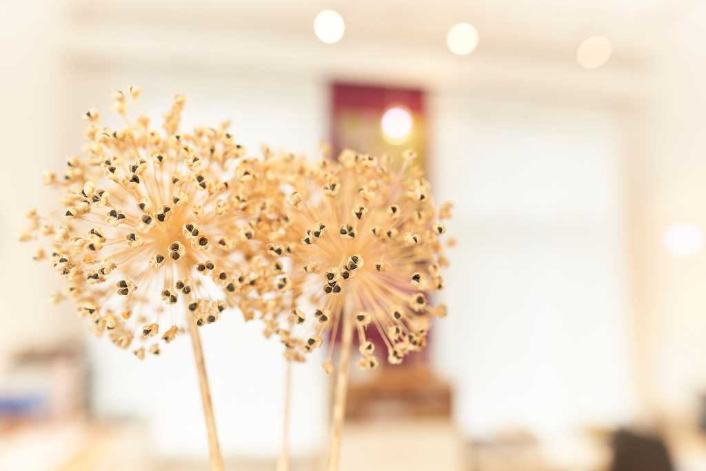 Günlog Rinio, Zahnmedizinischer Prophylaxeassistent (ZMP) in Hannover ...