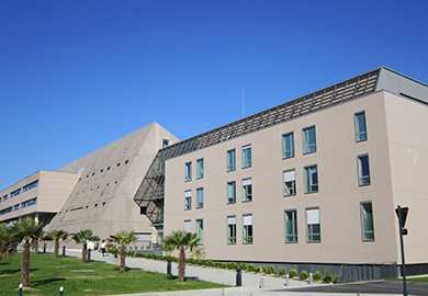 Dr Catherine MARCHETTI, Radiologue à Rennes : Prenez RDV en ligne ...