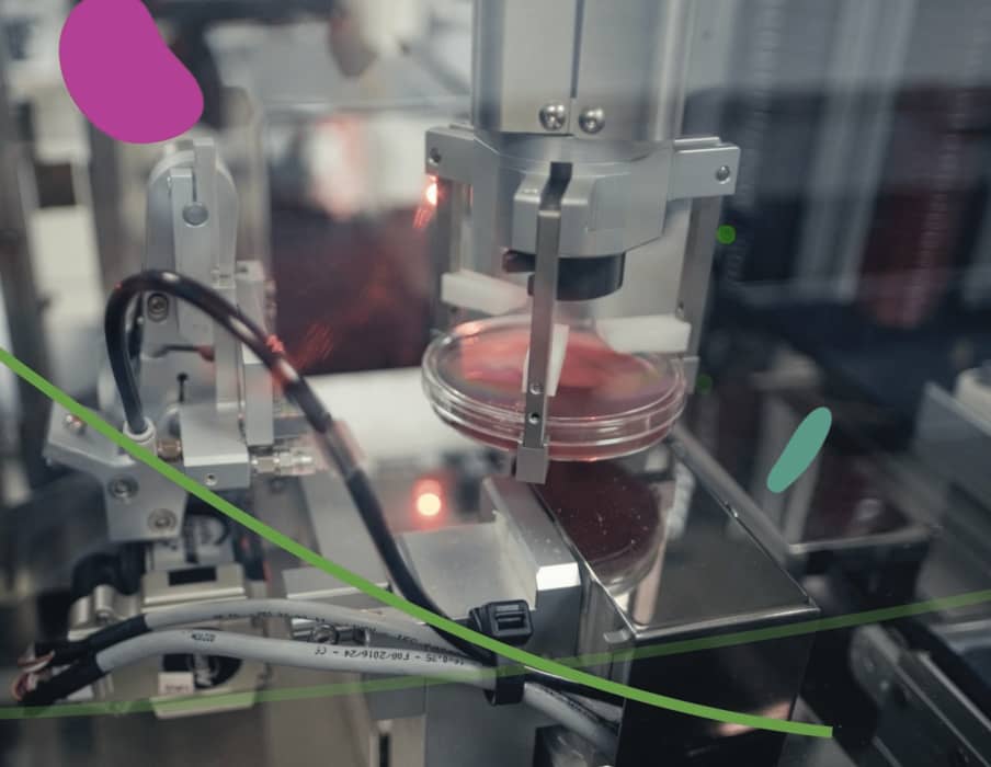 Biopath Laboratoires Cucq : Prise de sang spermogramme et microbiologie ...