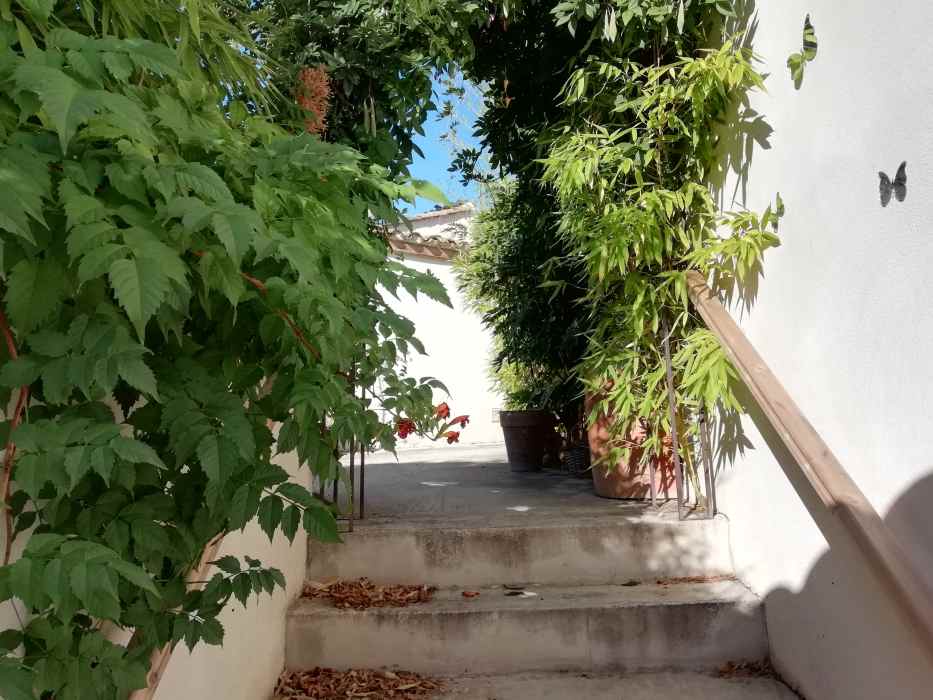 Xavier BESNARD, Psychologue à Montpellier, Mauguio - Doctolib