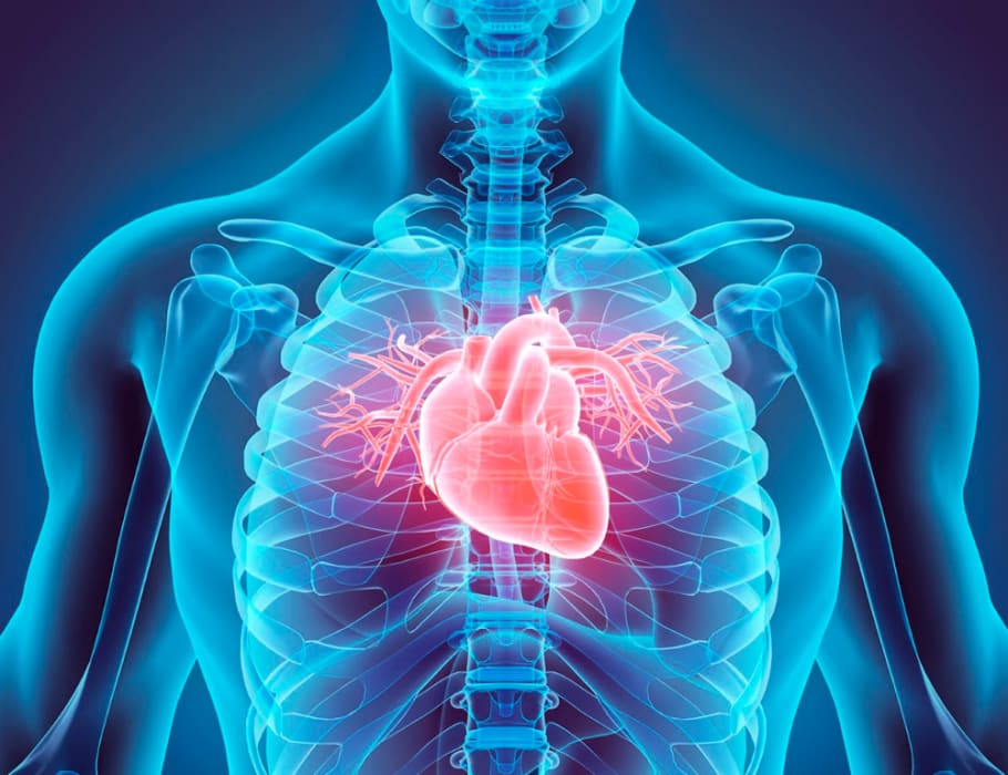 Dr Simon SAAD, Cardiologue à Châteaubriant : Prenez RDV en ligne - Doctolib