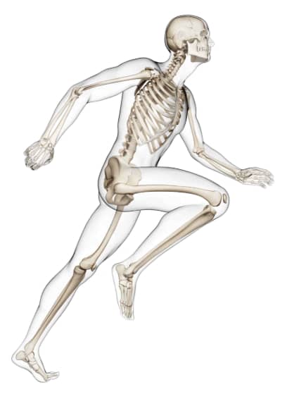 Mme Maeva Musso, Ostéopathe à Thionville : Prenez rendez-vous en ligne ...