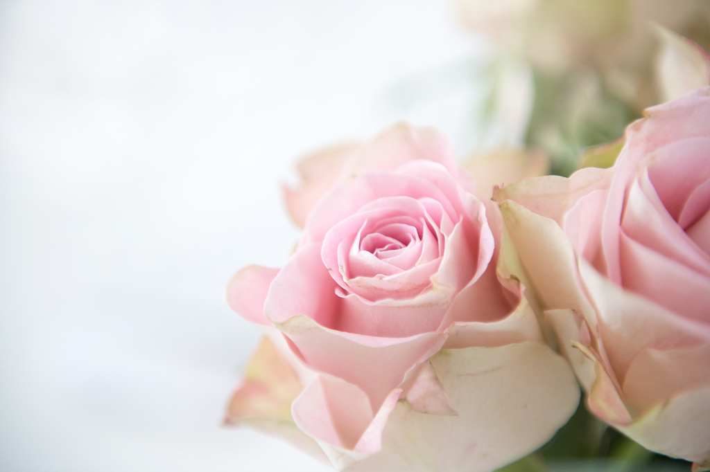 Frau Dr. med. Nicole Mattern, Frauenarzt / Gynäkologe in Berlin - Doctolib