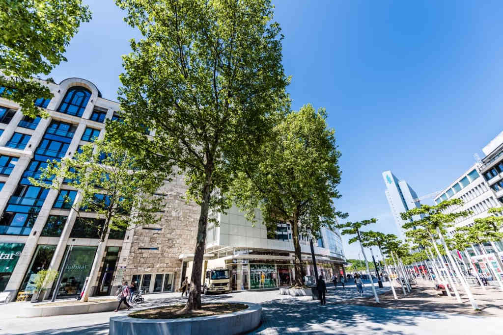 Herr Dr. med. Detlev R. H. Breyer FWCRS, Augenarzt / Ophthalmologe in ...