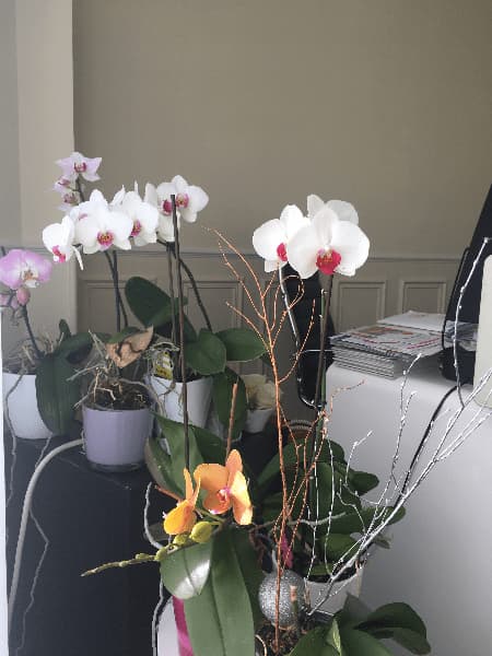 Dr Monique SOLOMON, Gynécologue médical à Paris : Prenez RDV en ligne ...