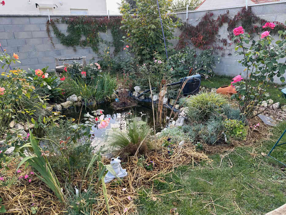 Mme Isabelle Chevrier, Psychologue à Ingré : Prenez RDV en ligne - Doctolib