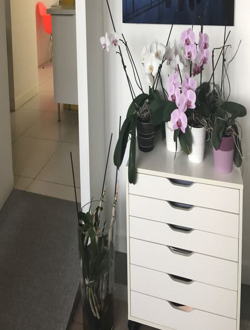 Dr Edith Colomb, Chirurgien-dentiste à Meylan : Prenez RDV en ligne ...