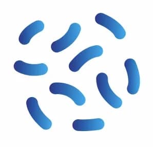 BIOLAM Laboratoire de Péronne, Laboratoire à Péronne - Doctolib